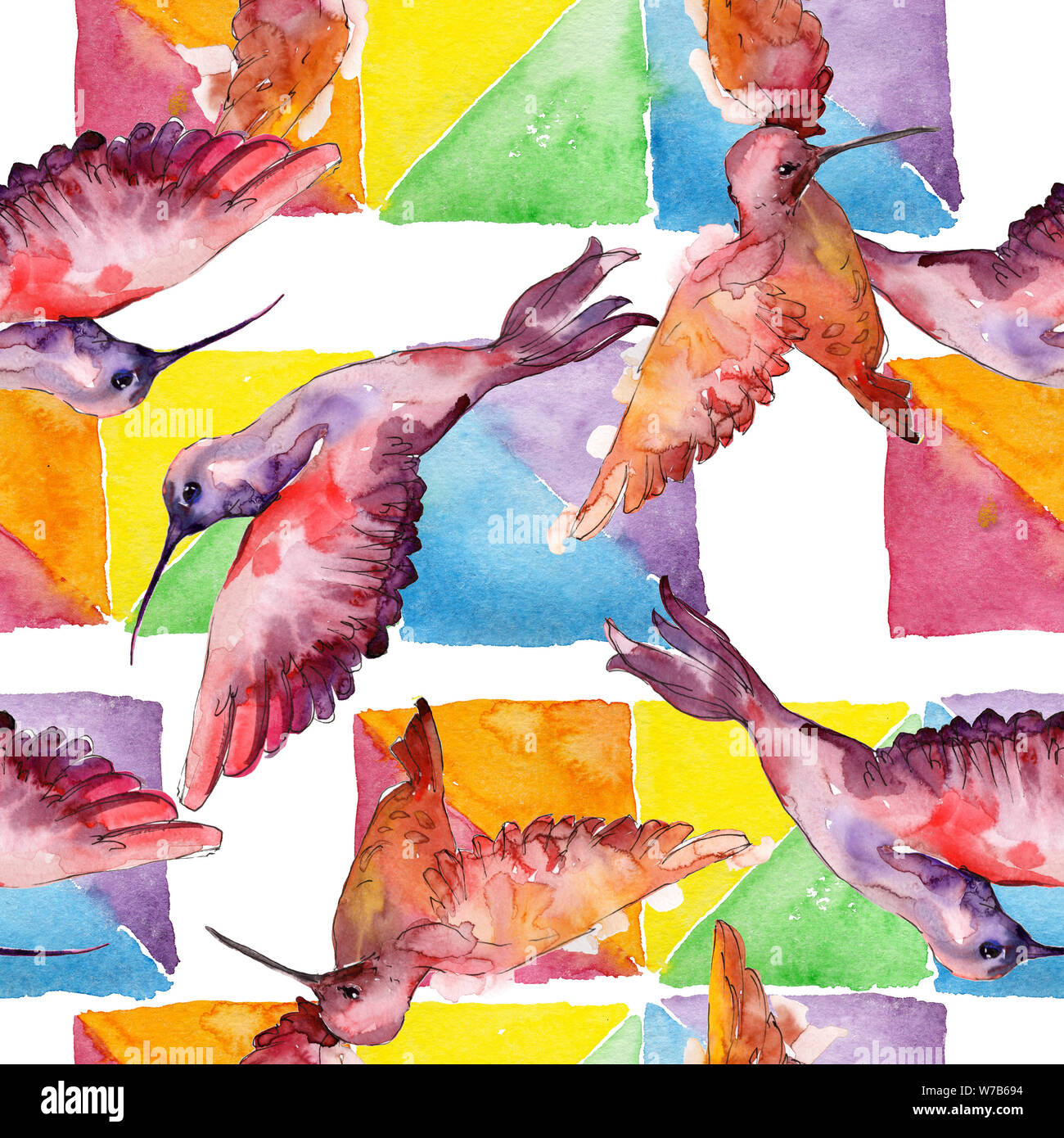 Sky bird colibri in a wildlife. Watercolor background illustration set ...