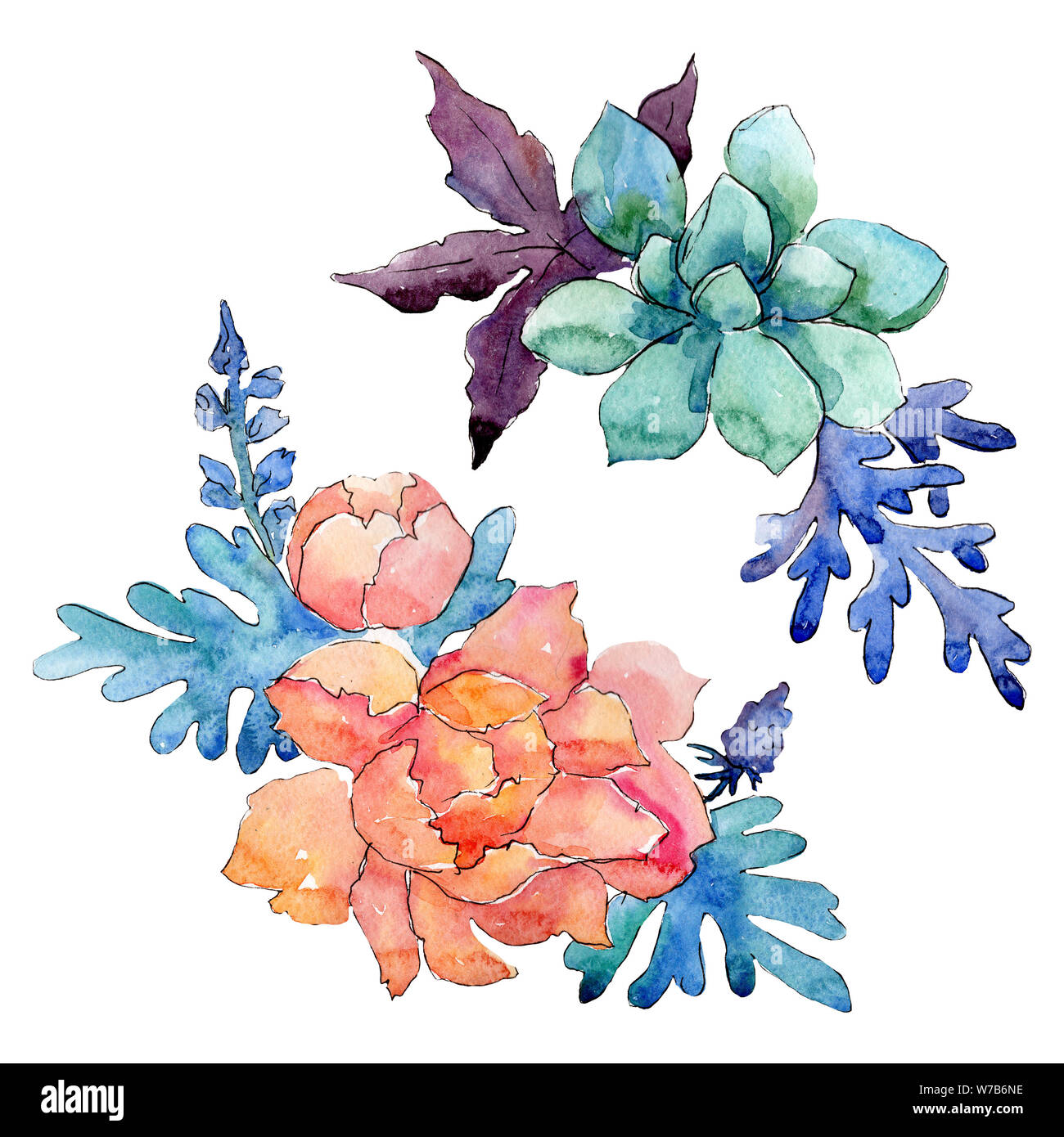 Flower composition. Floral botanical flowers. Watercolor background set ...