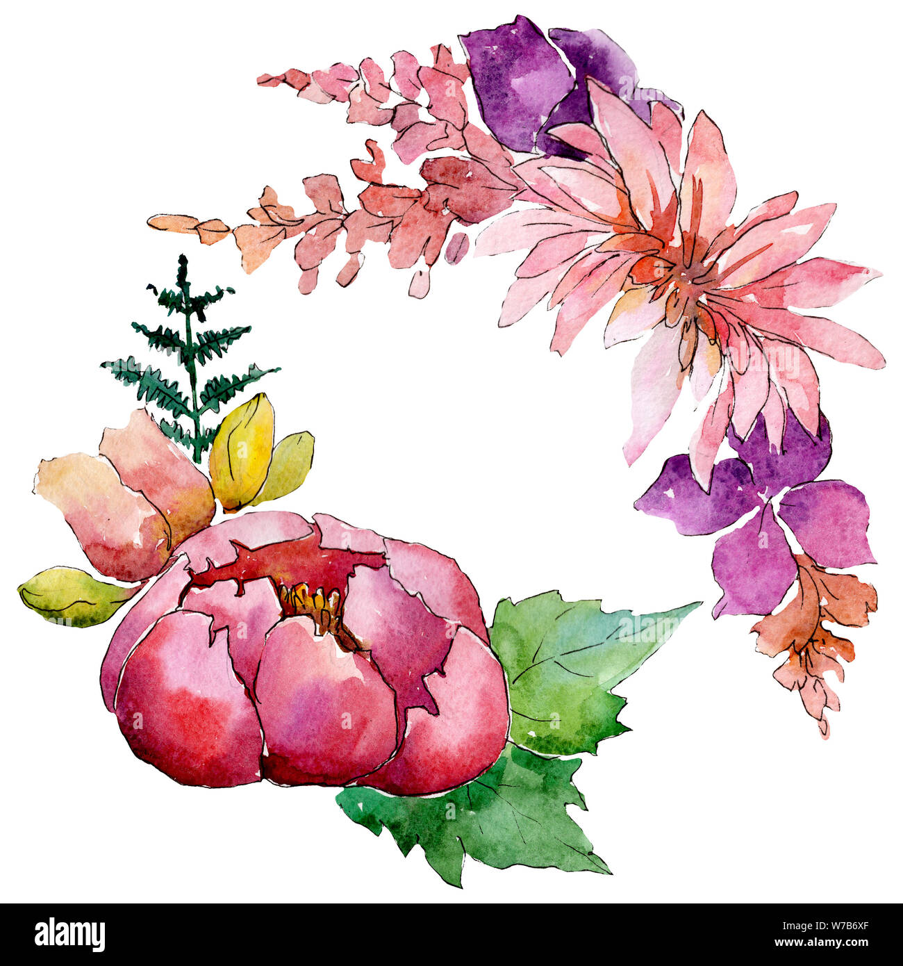Flower composition. Floral botanical flowers. Watercolor background set ...