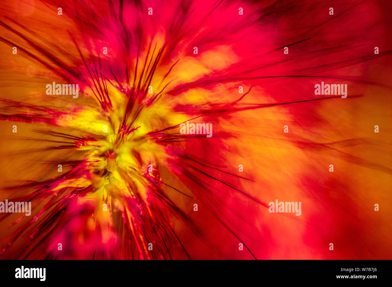 Abstract macro photo of a flower Natural background Stock Photo - Alamy
