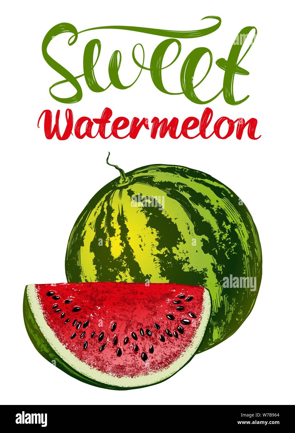 fruit watermelon, logo, calligraphic text hand drawn vector ...