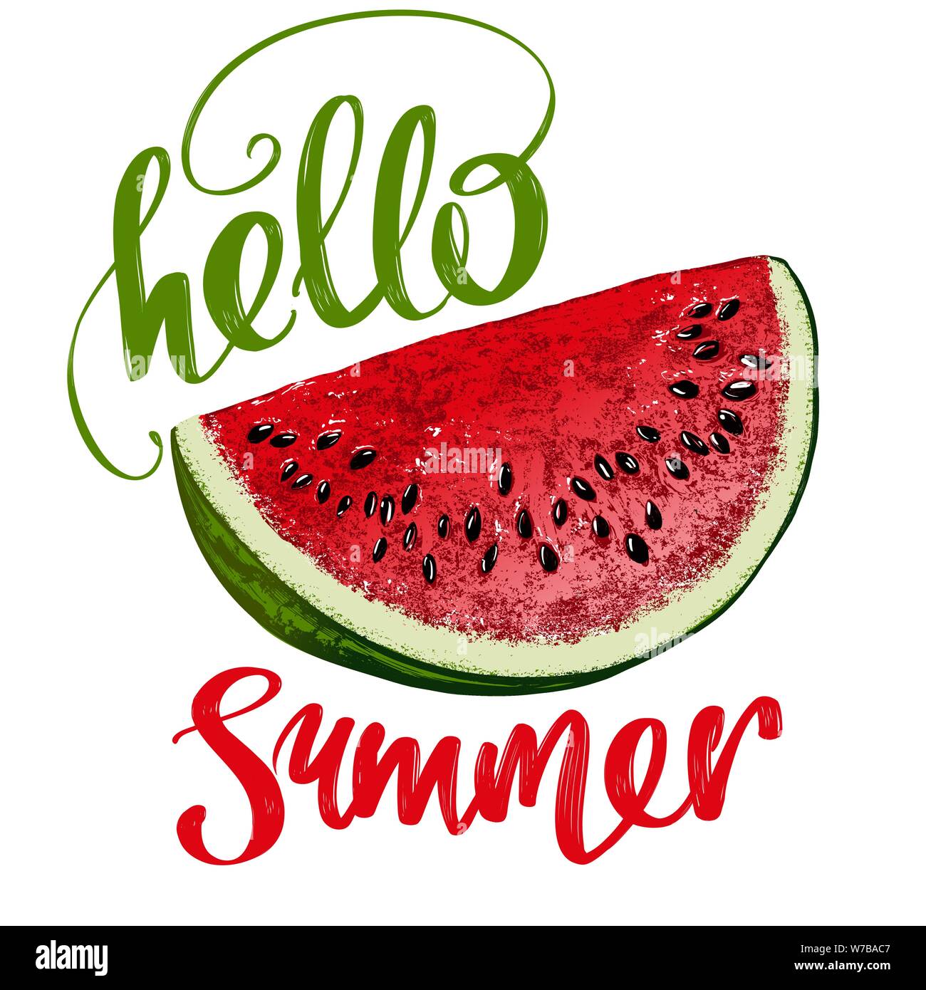 fruit watermelon, logo, calligraphic text hand drawn vector ...