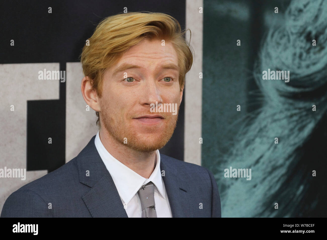 Los Angeles, USA. 05th Aug, 2019. Domhnall Gleeson at Warner Bros ...