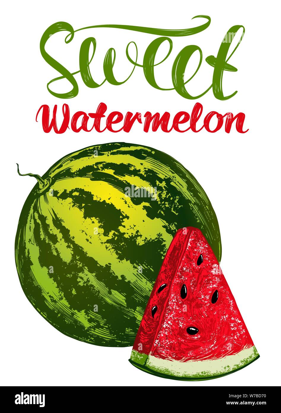 fruit watermelon, logo, calligraphic text hand drawn vector ...