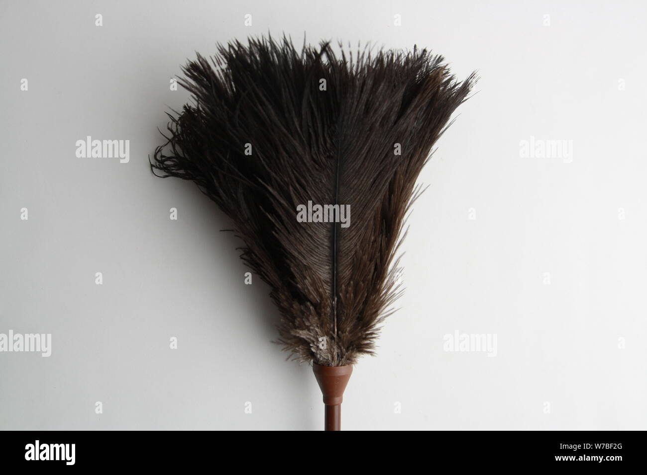 Long handle duster hi-res stock photography and images - Alamy