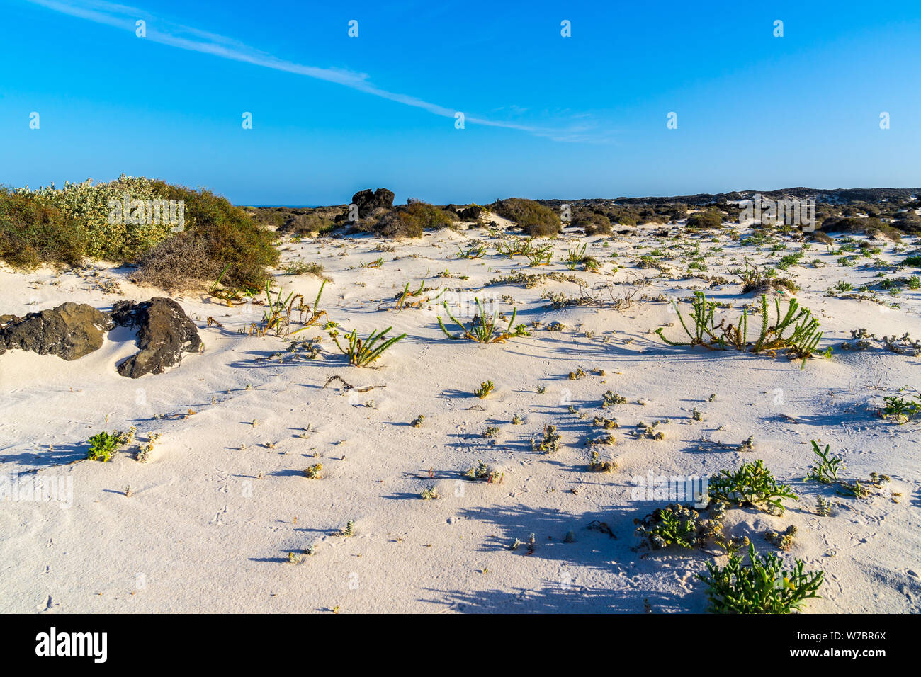 Spain, Lanzarote, Untouched nature landscape with white sand and black ...