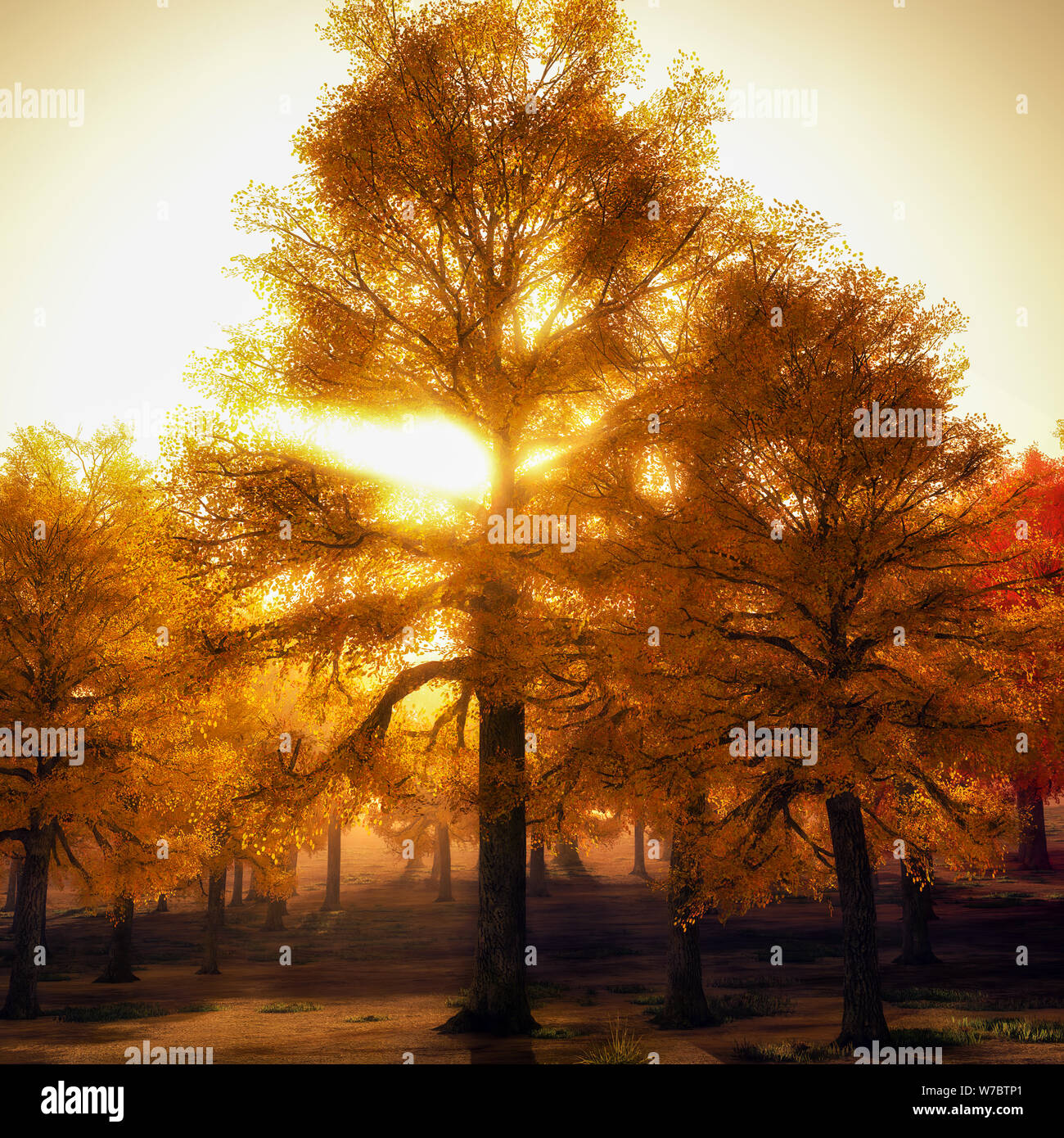 Beautiful beech canopy road 3d rendering Stock Photo - Alamy