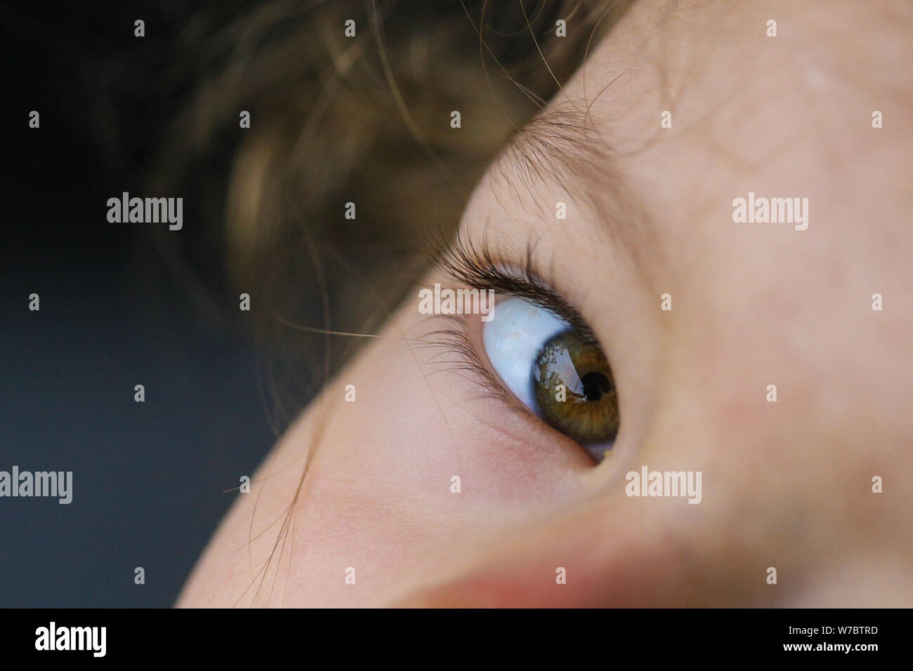 Details with the eye, eyebrow and lashes of a little girl Stock Photo ...