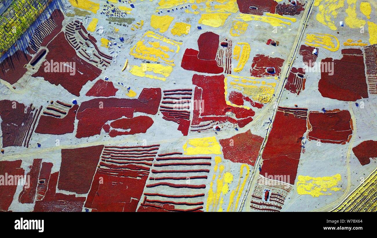 Aerial view of the chili peppers for air-drying in Bayingol Mongolian ...