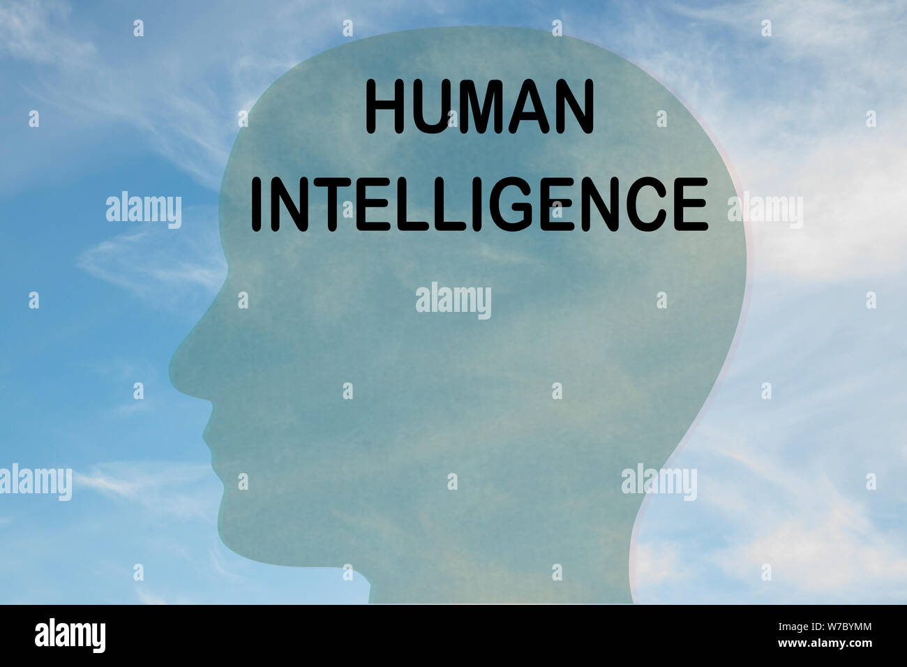Render illustration of HUMAN INTELLIGENCE title on head silhouette ...
