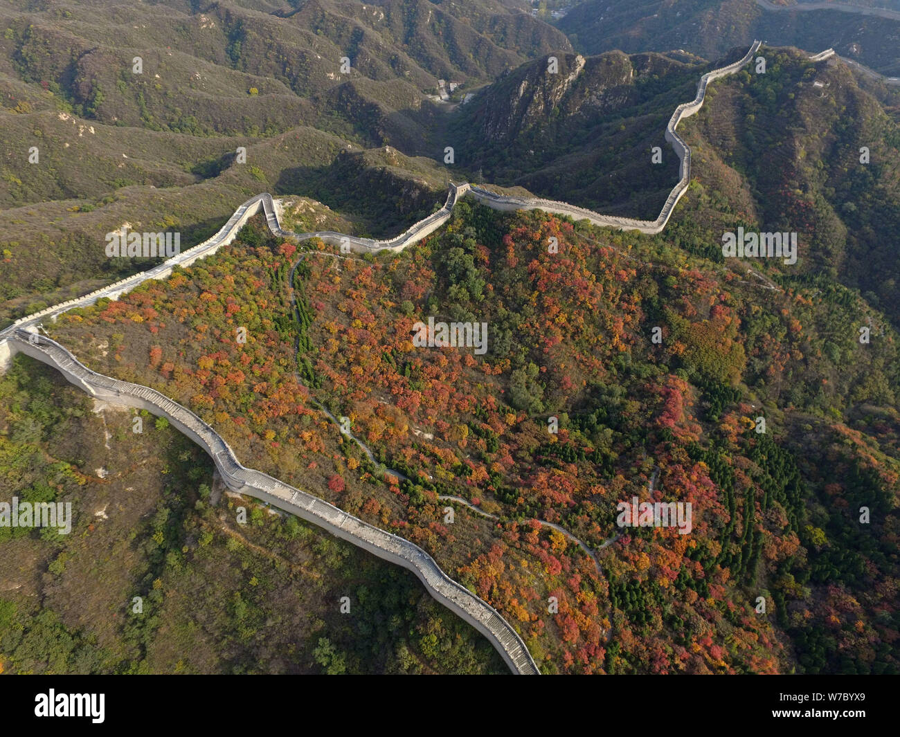 Landscape of the Badaling Great Wall enveloped in thick autumn foliage ...