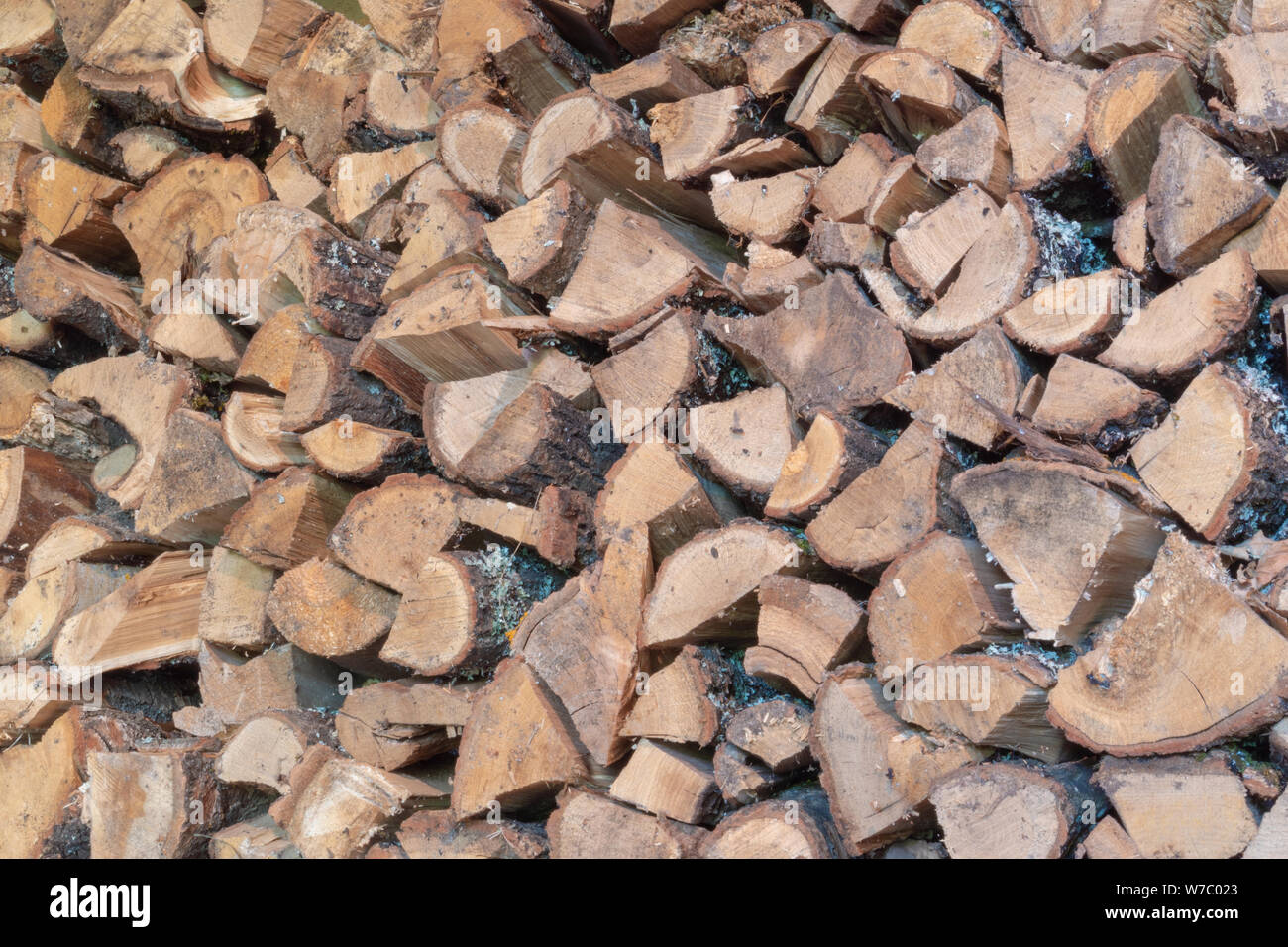 Cut logs tightly stacked hi-res stock photography and images - Alamy