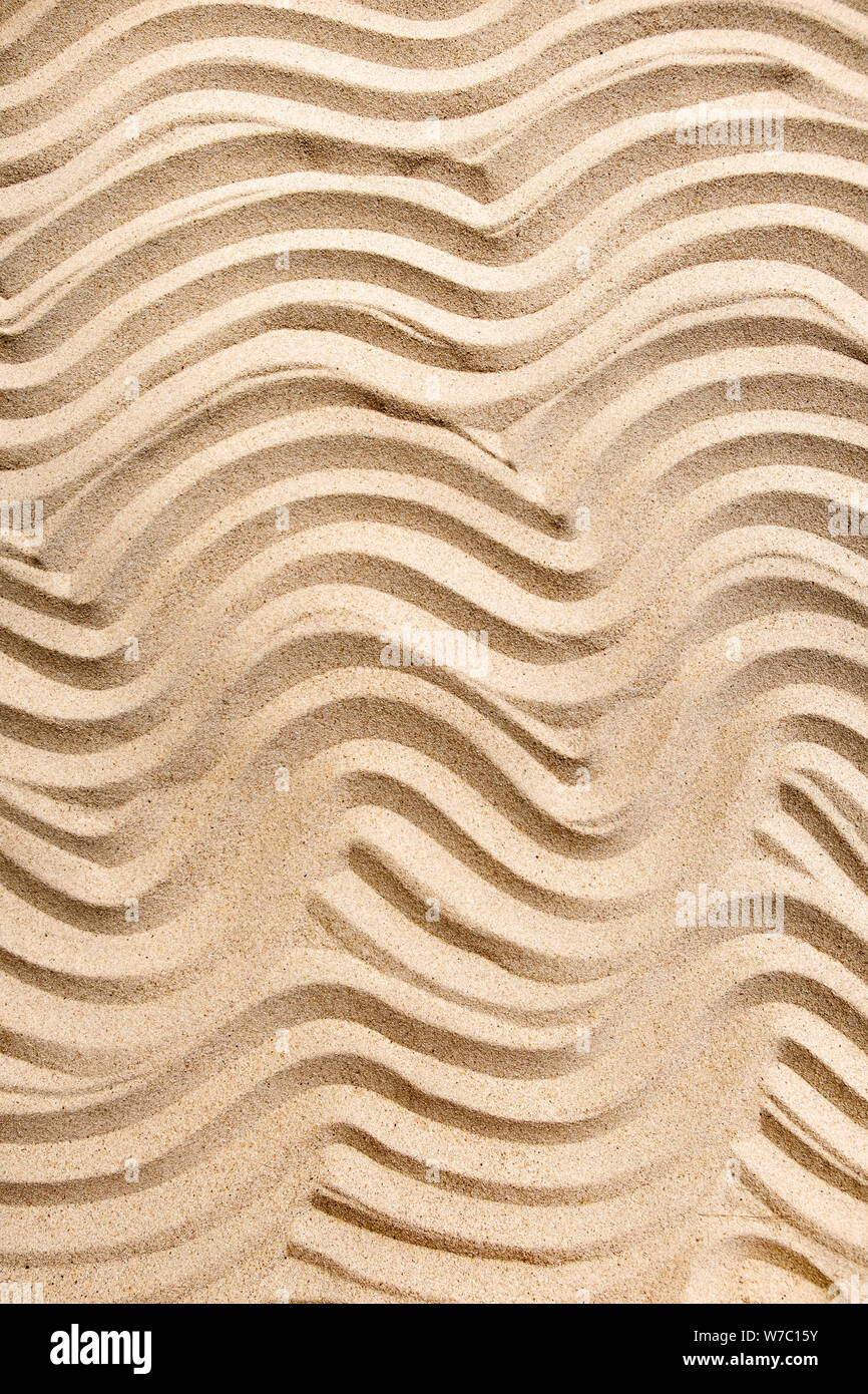 Close background of clean sea sand, top view, vertical composition ...