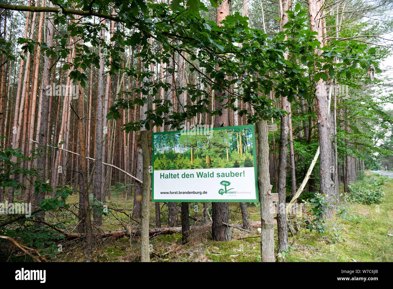 Forst rheinsberg hi-res stock photography and images - Alamy