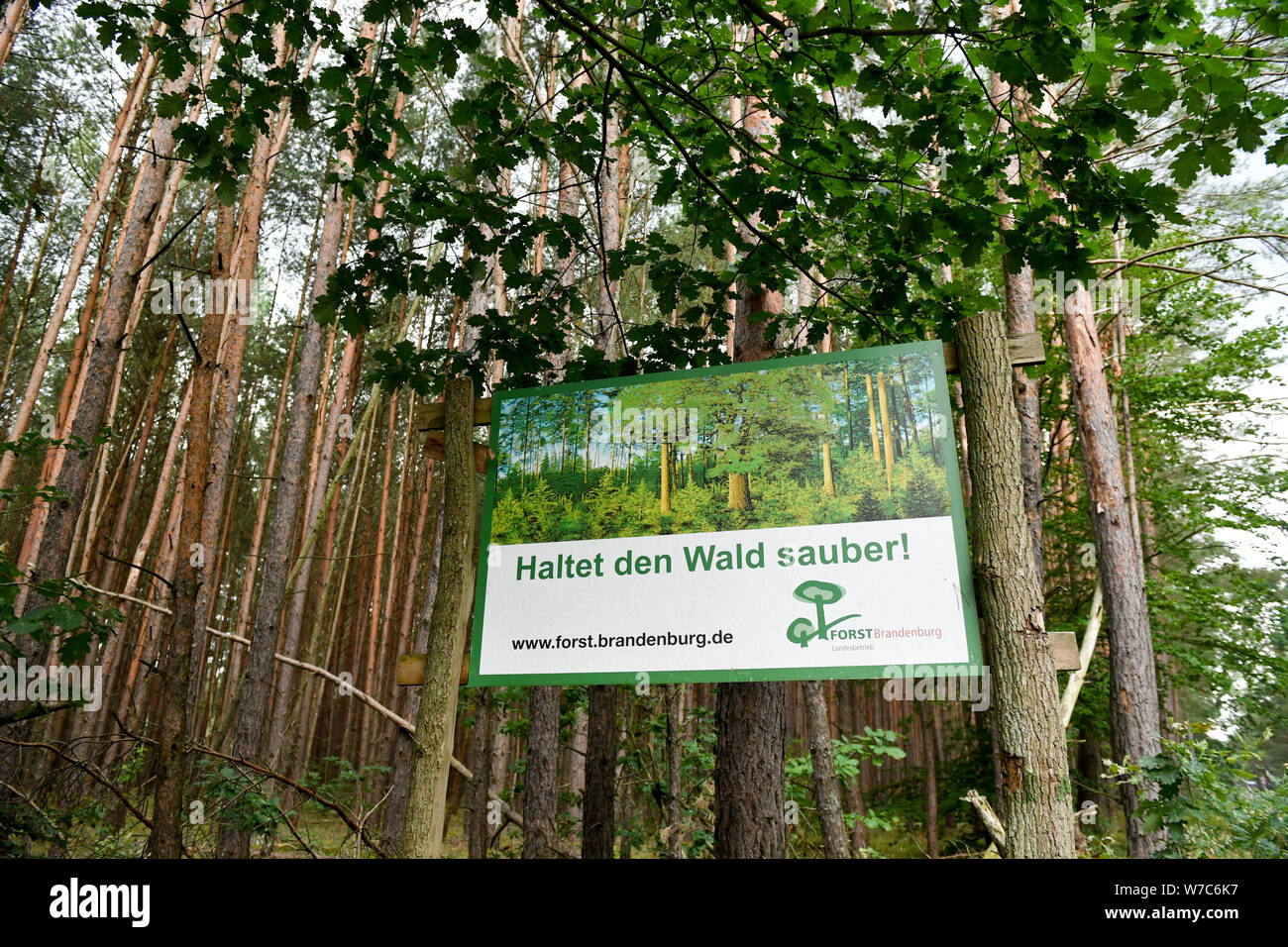 Forst rheinsberg hi-res stock photography and images - Alamy