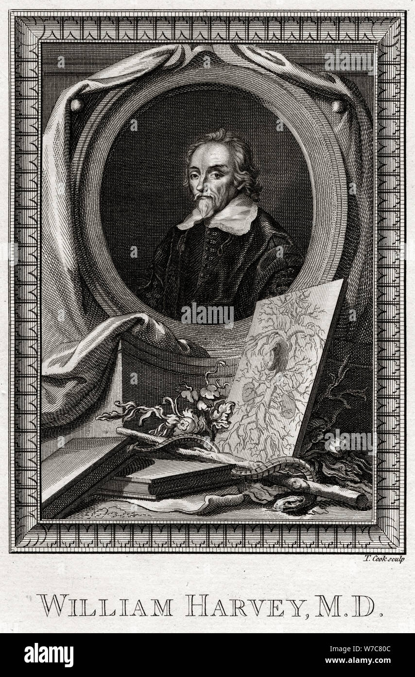 William harvey heart hi-res stock photography and images - Alamy