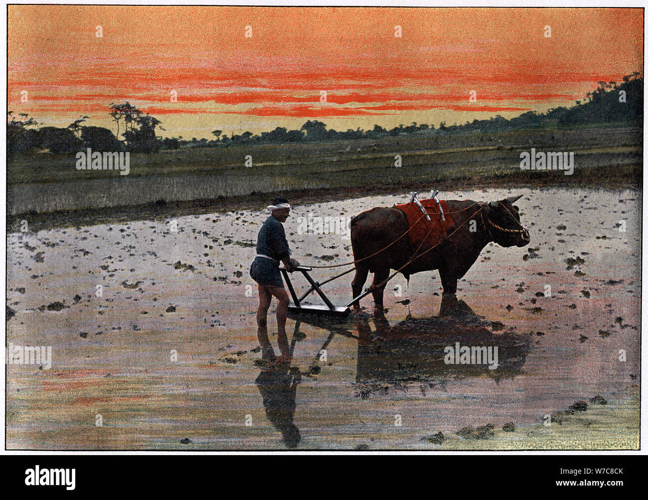 'Preparation of a Rice Plantation in Japan', c1890. Artist: Charles ...