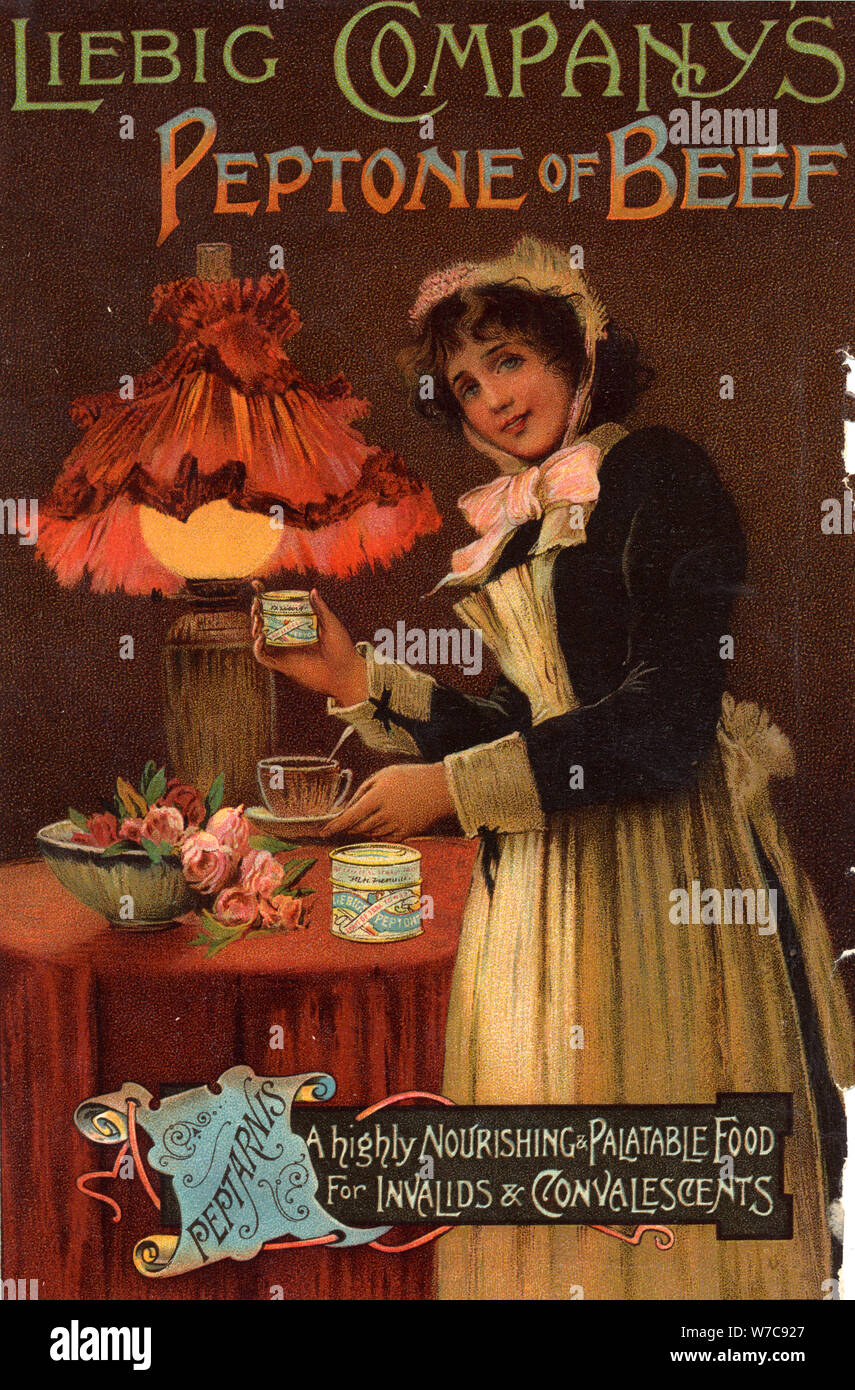 Liebig Company's Peptone of Beef, 19th century. Artist: Unknown Stock ...