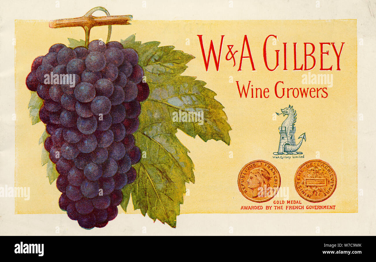 W&A Gilbey wine growers, 19th century. Artist: Unknown Stock Photo - Alamy