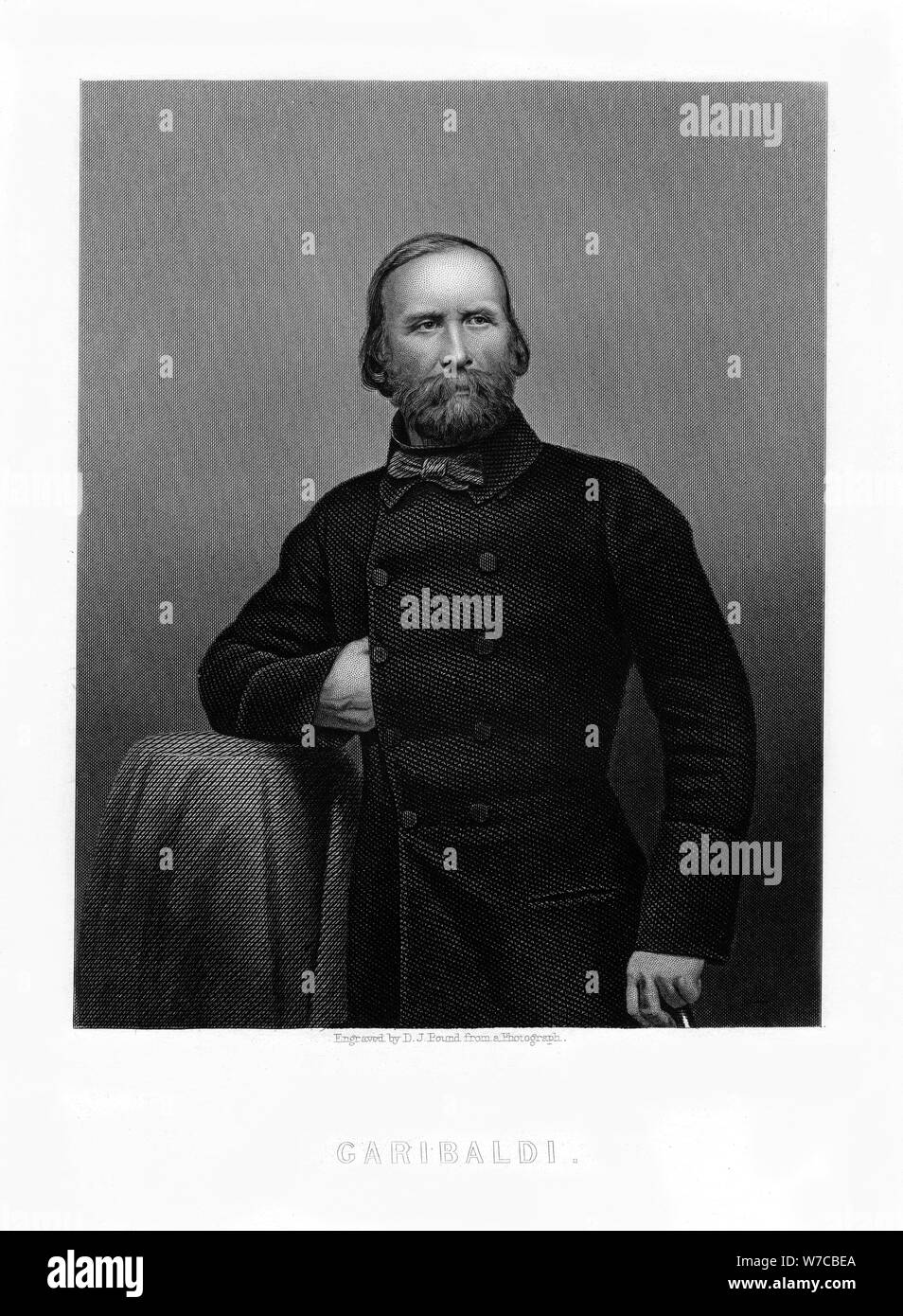 Male garibaldi hi-res stock photography and images - Alamy