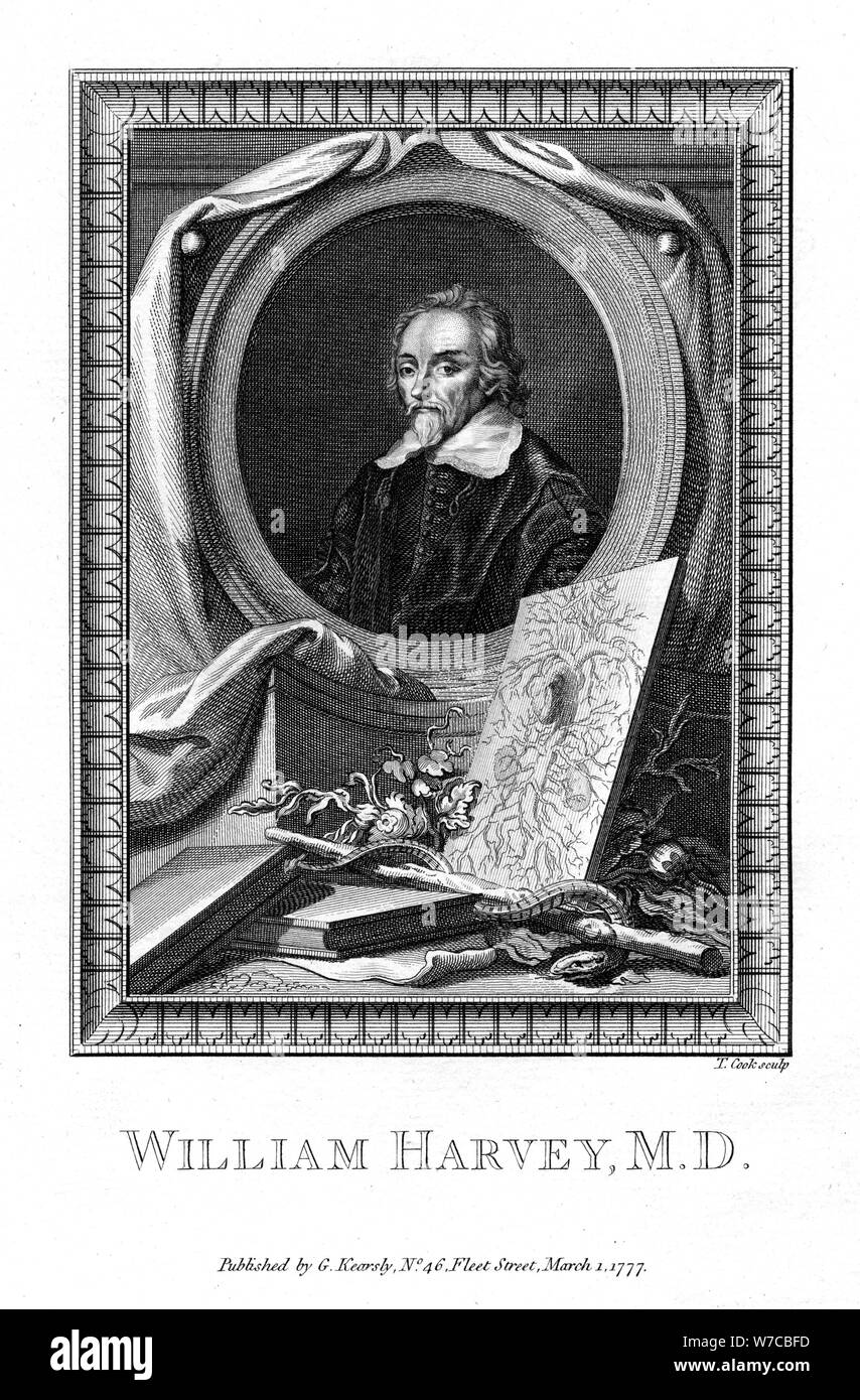 William harvey heart hi-res stock photography and images - Alamy