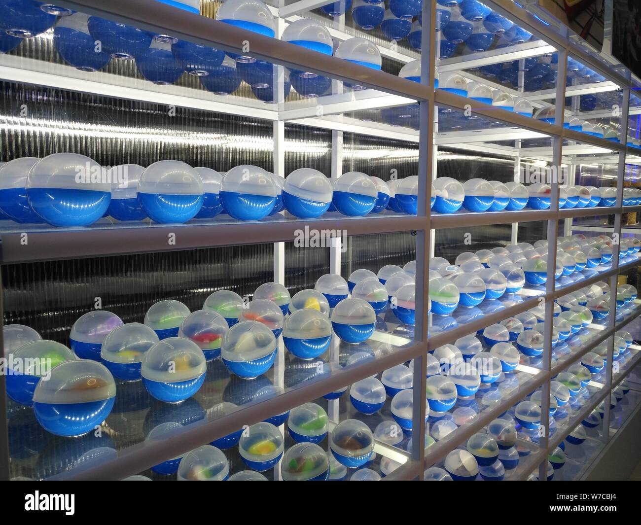 The time capsules are on display in the Fotile Time Mart at a shopping ...