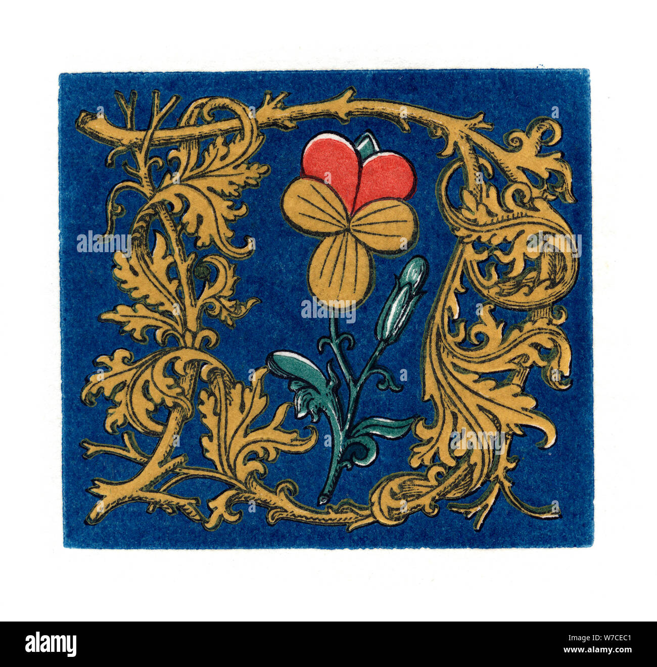 Illuminated letter d hi-res stock photography and images - Alamy
