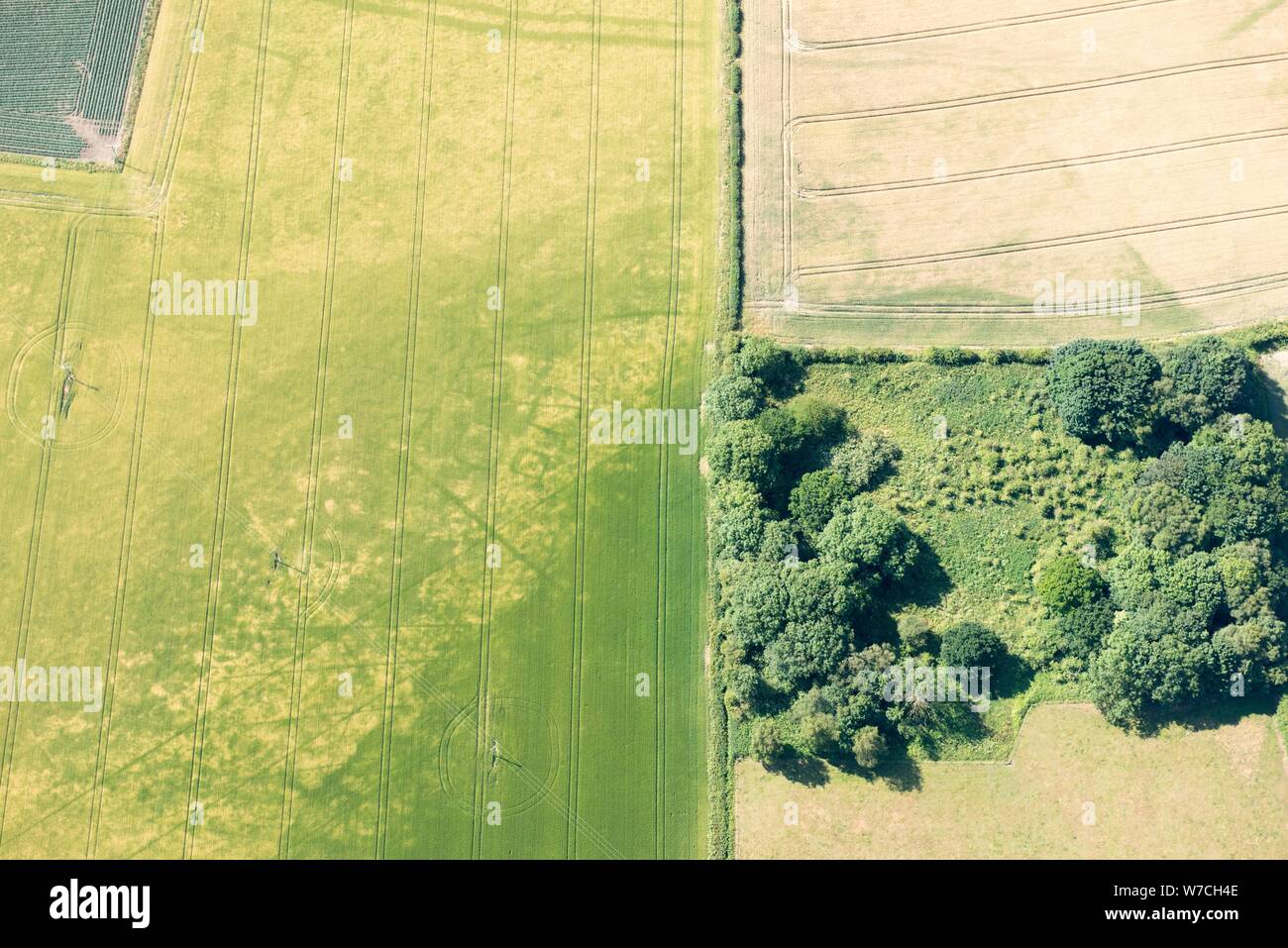 Crop Marks Historic England Historic England Asks Public To Seek