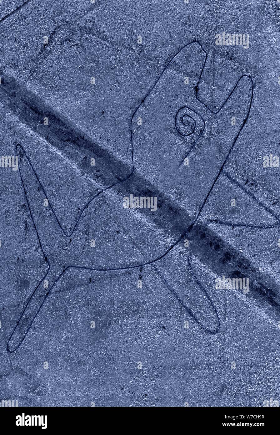 The Whale, Nazca Lines, Ica, Peru, 2015. Creator: Luis Rosendo Stock ...