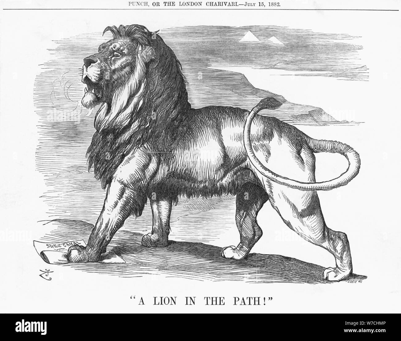 Lion in the path Black and White Stock Photos & Images - Alamy