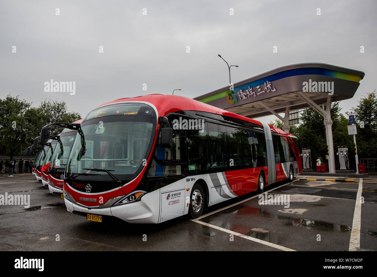 The first batch of 10 electric buses in red are lined up at a charging ...