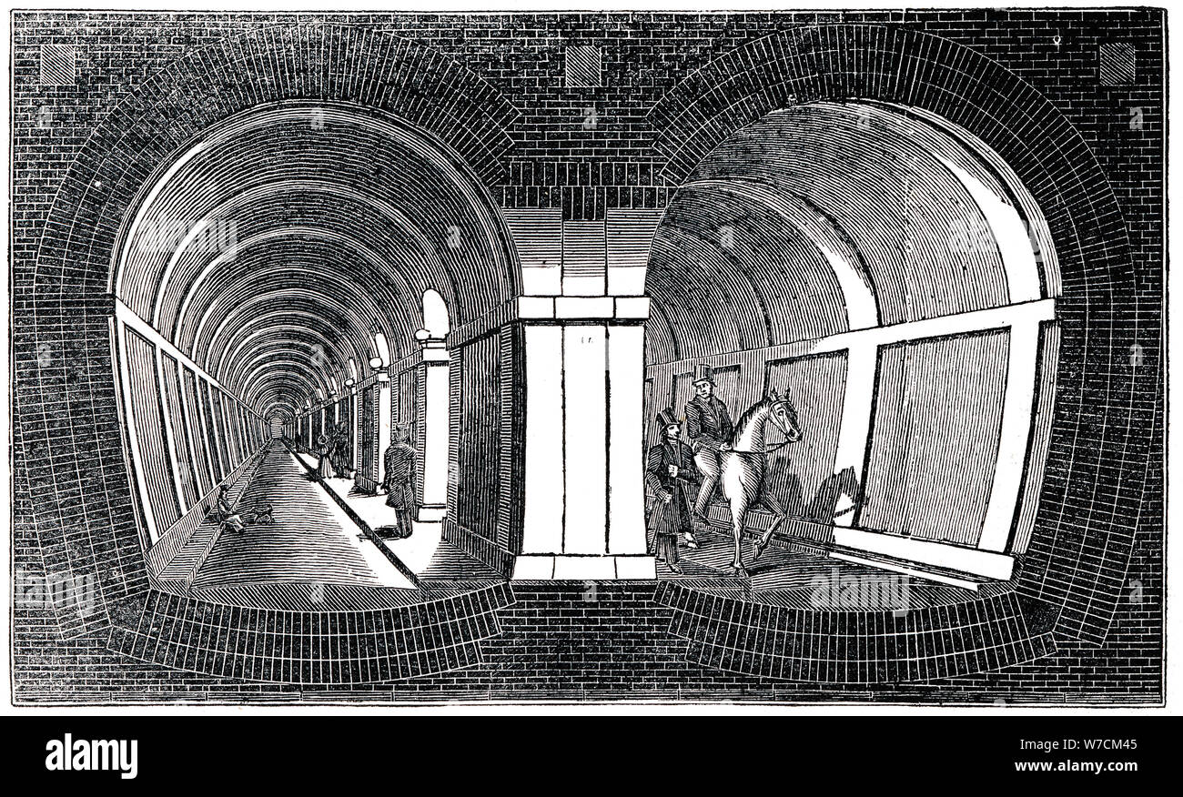 Tunnel animal cross section hi-res stock photography and images - Alamy