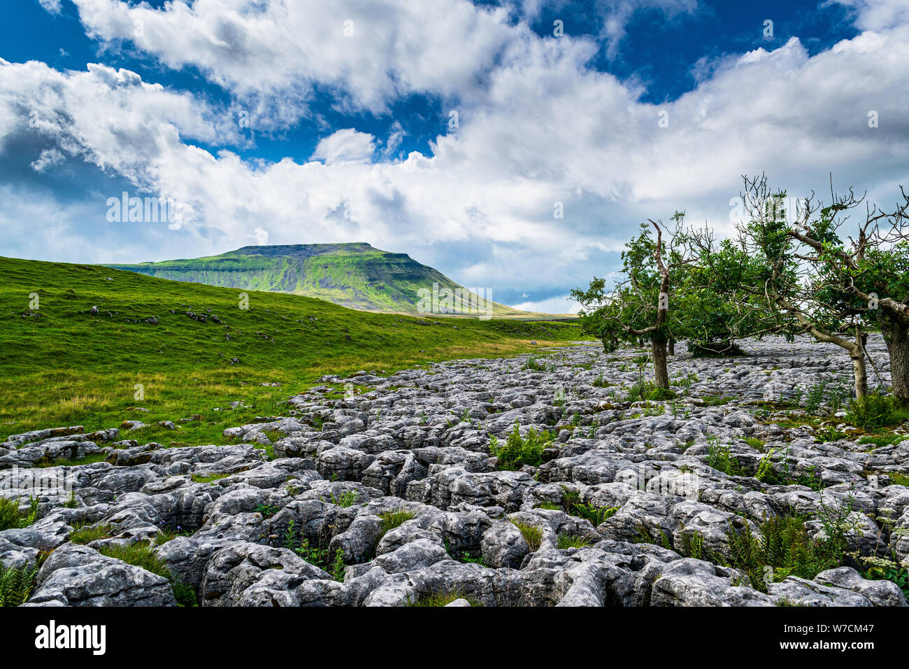 Ingleborough nature trail hi-res stock photography and images - Alamy