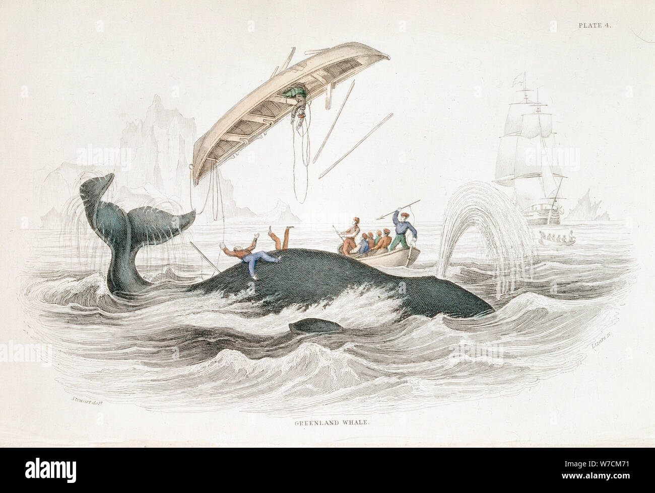 Harpoon 19th century hi-res stock photography and images - Alamy