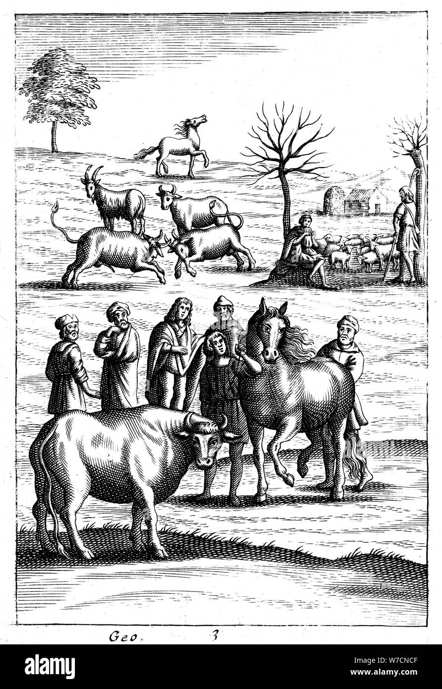 Sheep, cattle, horses and goats, 18th century. Artist: Unknown Stock ...