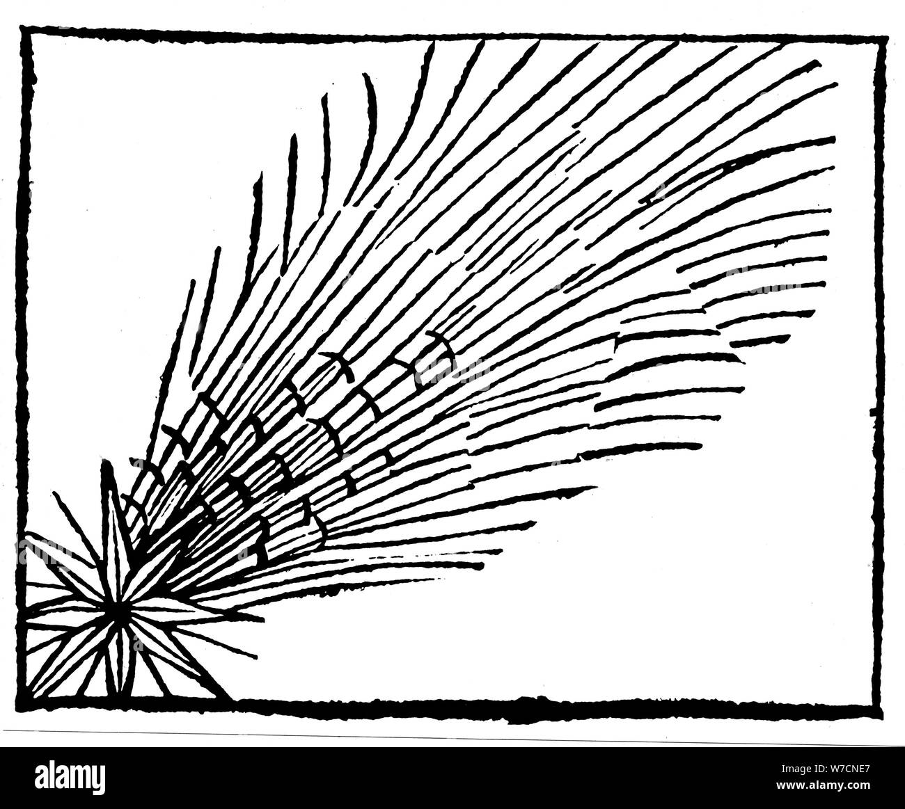 Halley comet hi-res stock photography and images - Alamy