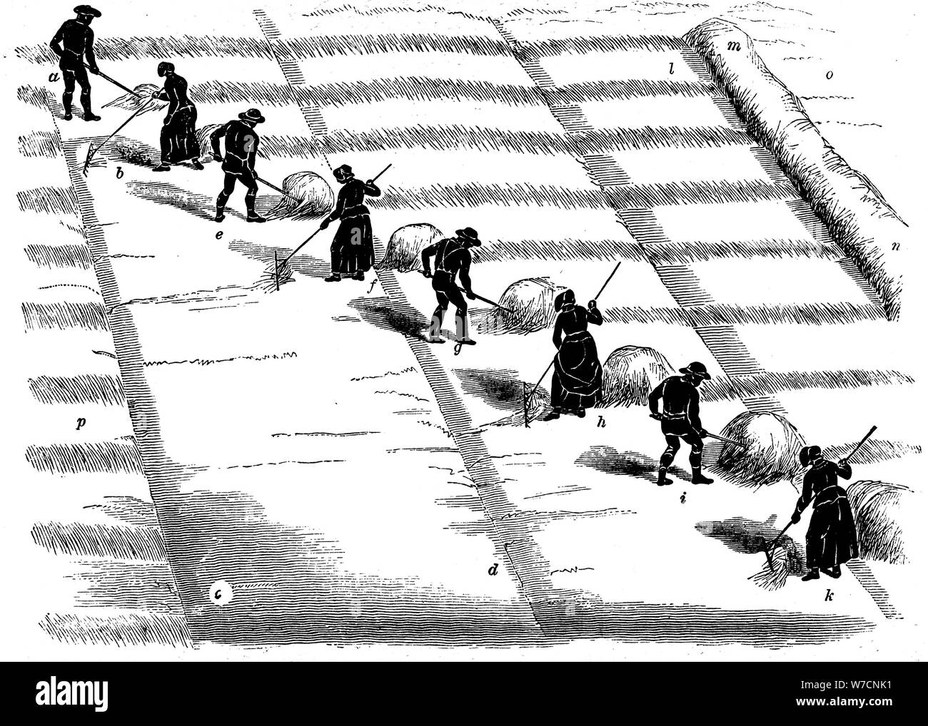 Crop rotation Black and White Stock Photos & Images - Alamy