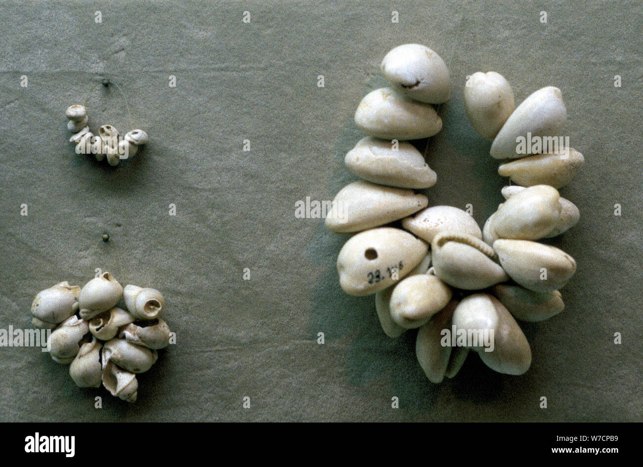 Cowrie shell currency hi-res stock photography and images - Alamy