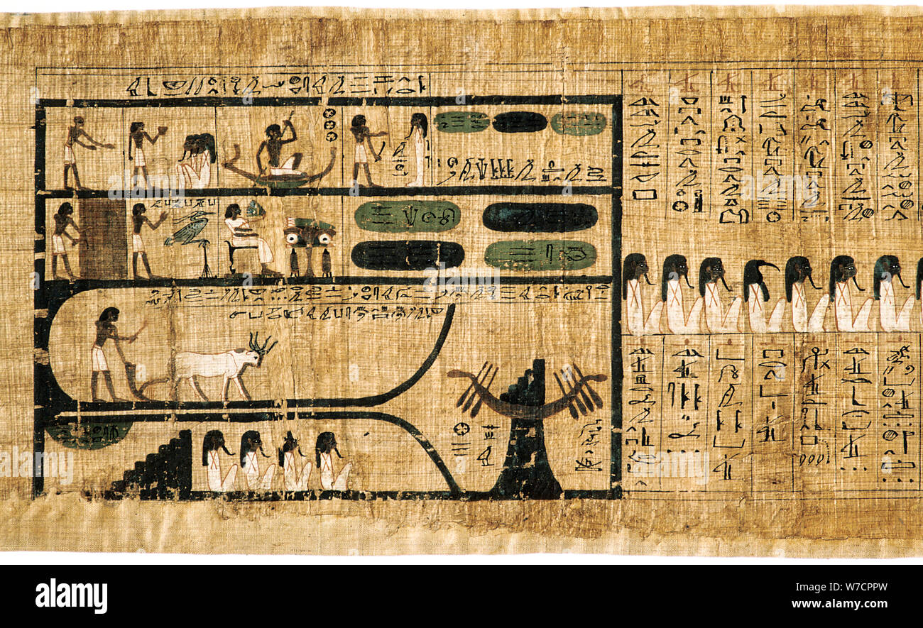 Book of the dead papyrus oxen hi-res stock photography and images - Alamy