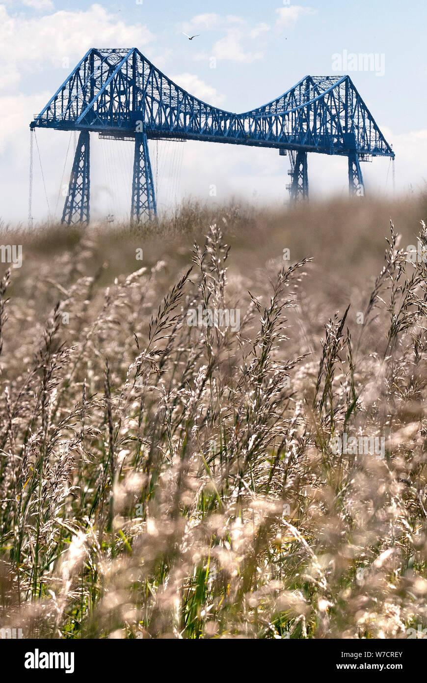 Rspb saltholme nature reserve hi-res stock photography and images - Alamy