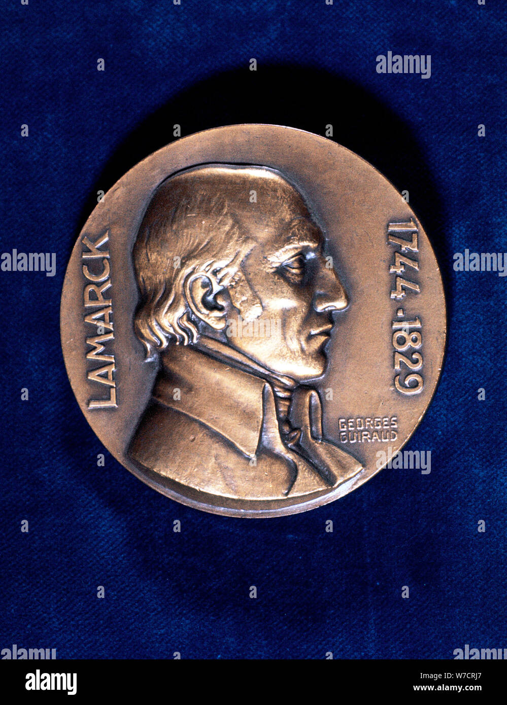 Jean Lamarck, French naturalist. Artist: Unknown Stock Photo - Alamy