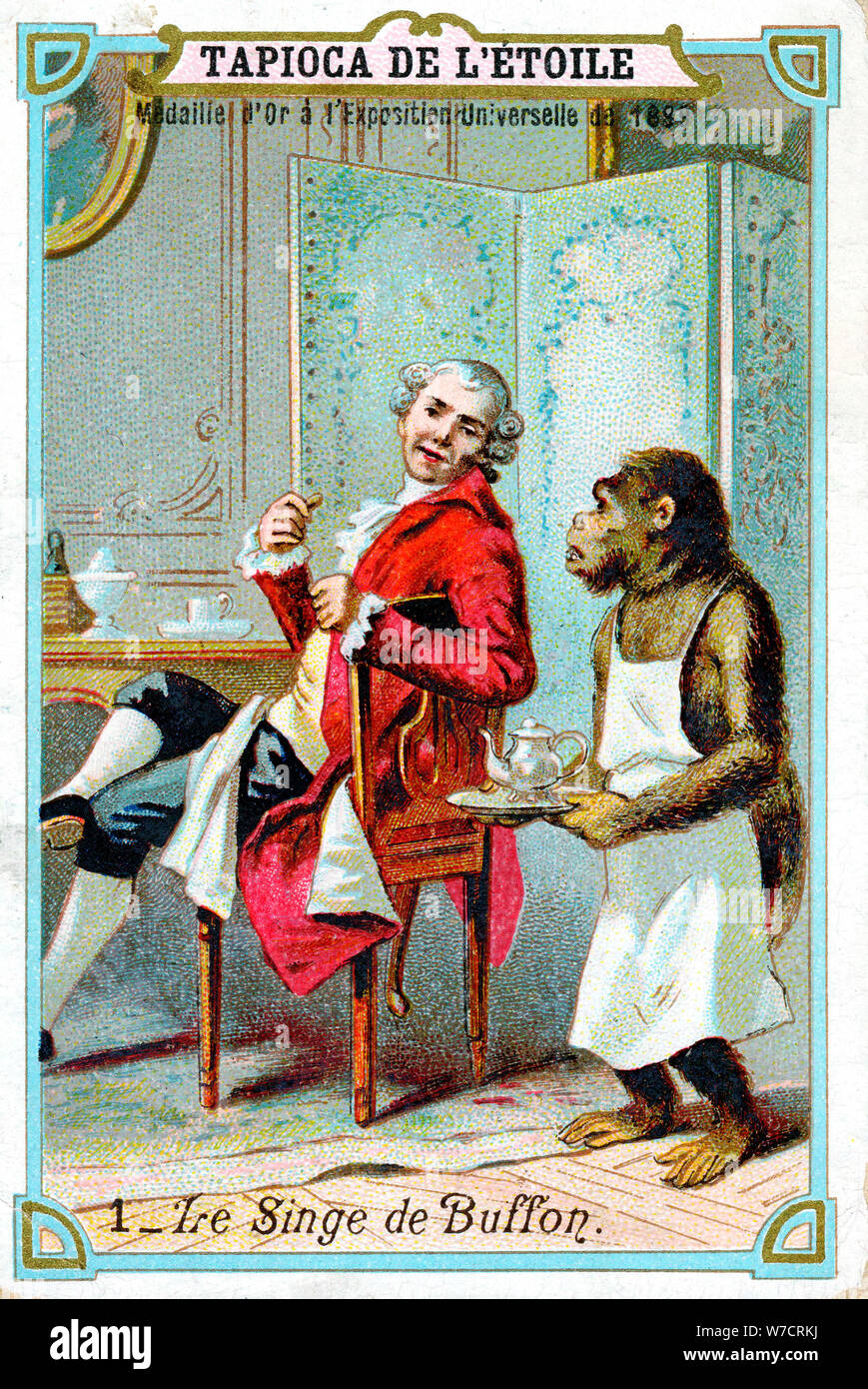 George-Louis Leclerc, Comte de Buffon, 18th century French naturalist ...