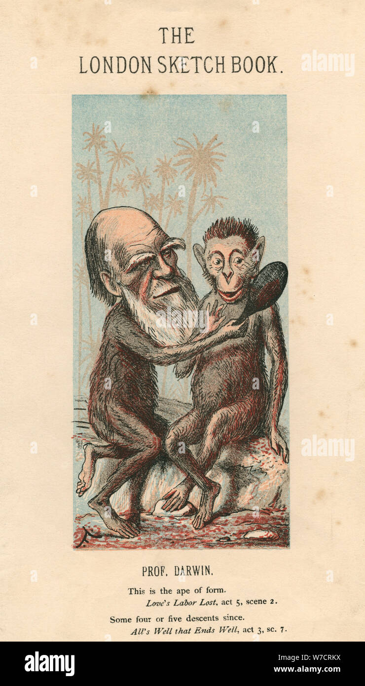 Charles darwin portrait color hi-res stock photography and images - Alamy
