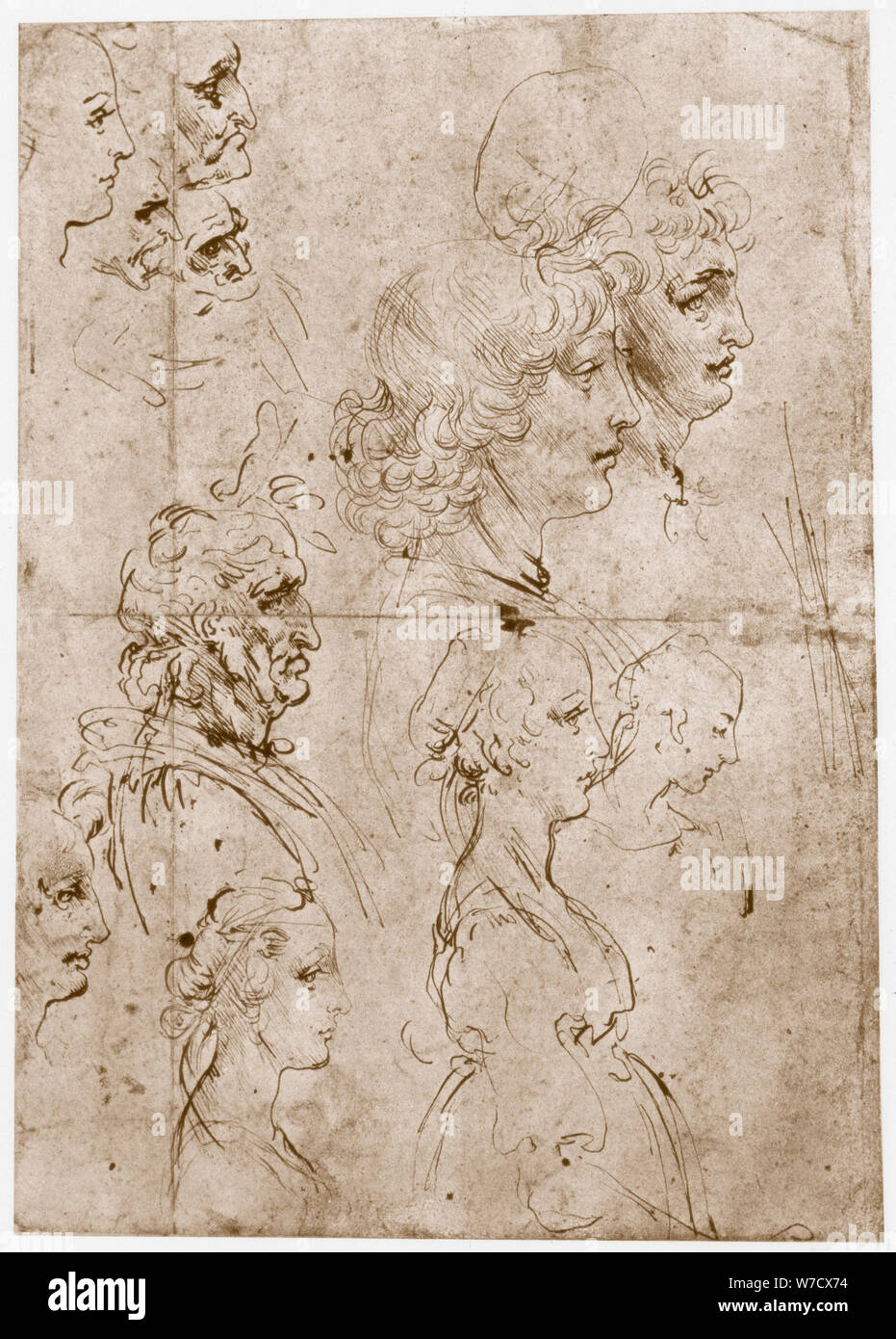 Young leonardo da vinci hi-res stock photography and images - Alamy