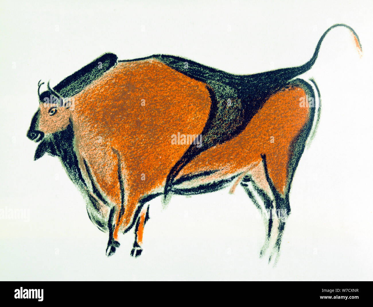 Cave of altamira and paleolithic cave art of northern spain hi-res ...