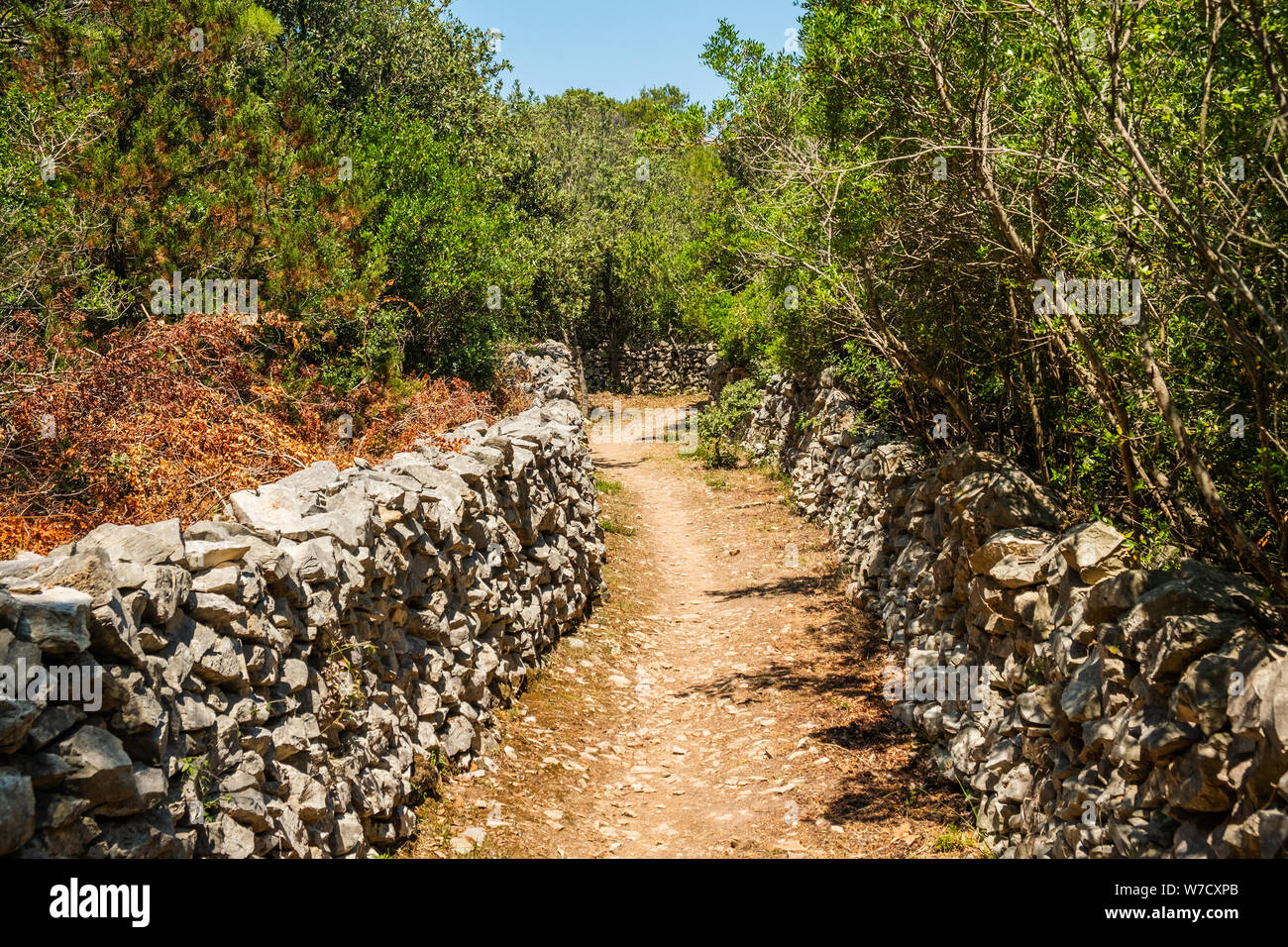 Old path in Dalmatia, Croatia, aged dry stone wall (suhozid), a ...