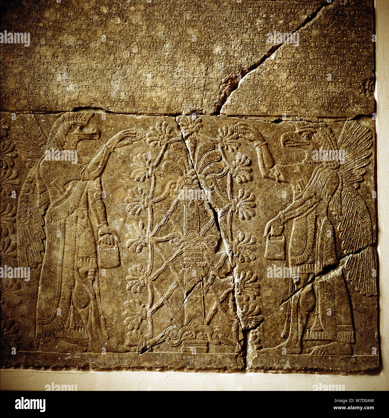 Assyrian sacred tree hi-res stock photography and images - Alamy