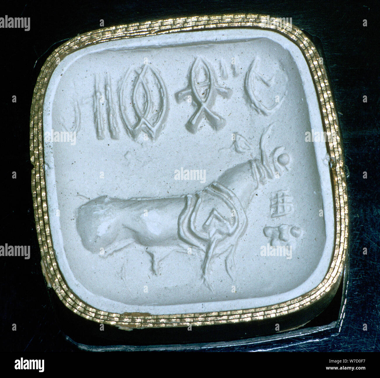 Bull seal harappa hi-res stock photography and images - Alamy