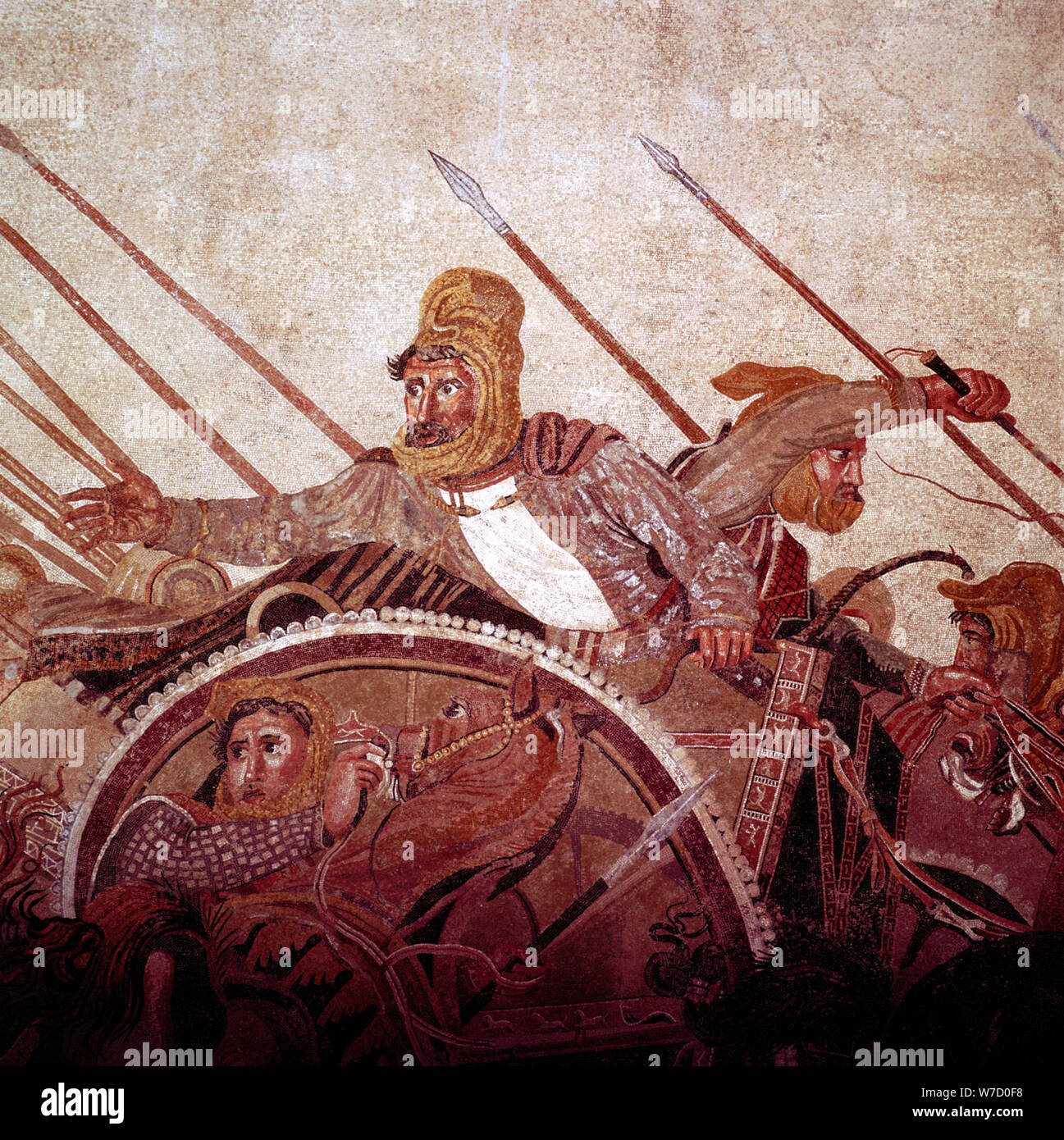 Roman mosaic of Darius II of Persia at the Battle of Issus, Pompeii, Italy, (1st century AD ...