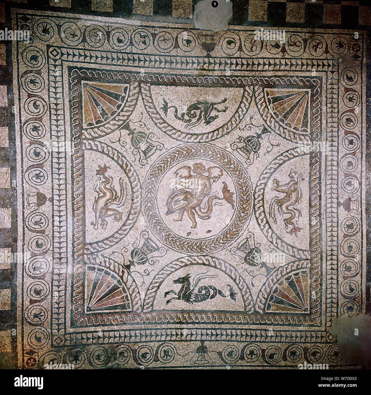 Cupid on Dolphin mosaic, Fishbourne Roman Villa, Sussex. Artist ...